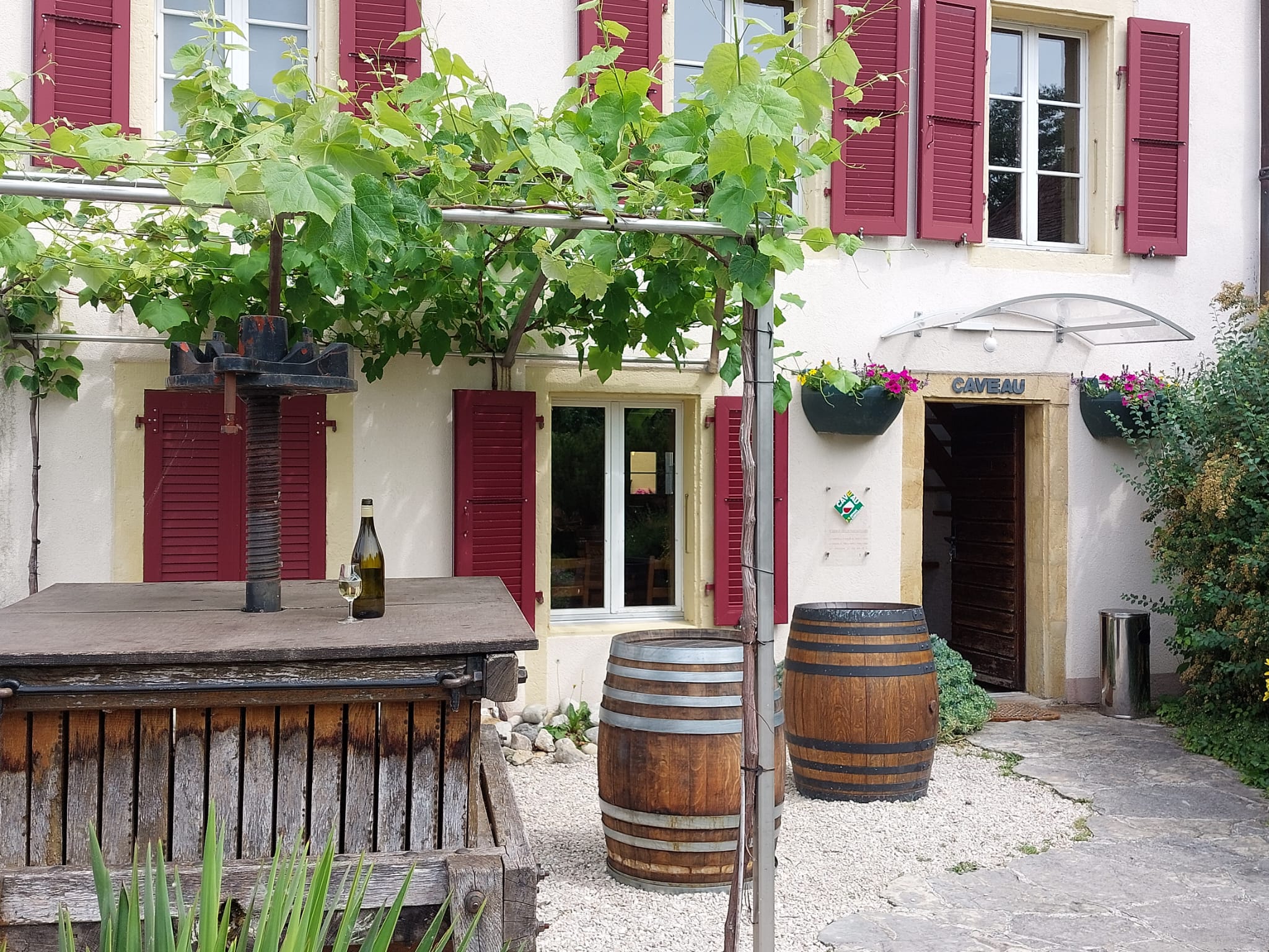 Caveau de Cortaillod et Bevaix - Cortaillod - Neuchâtel - Lieu Idéal