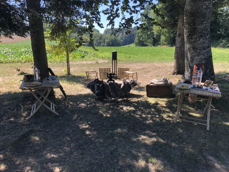 Grande Salle du Parc - Bex - Vaud - Lieu Idéal